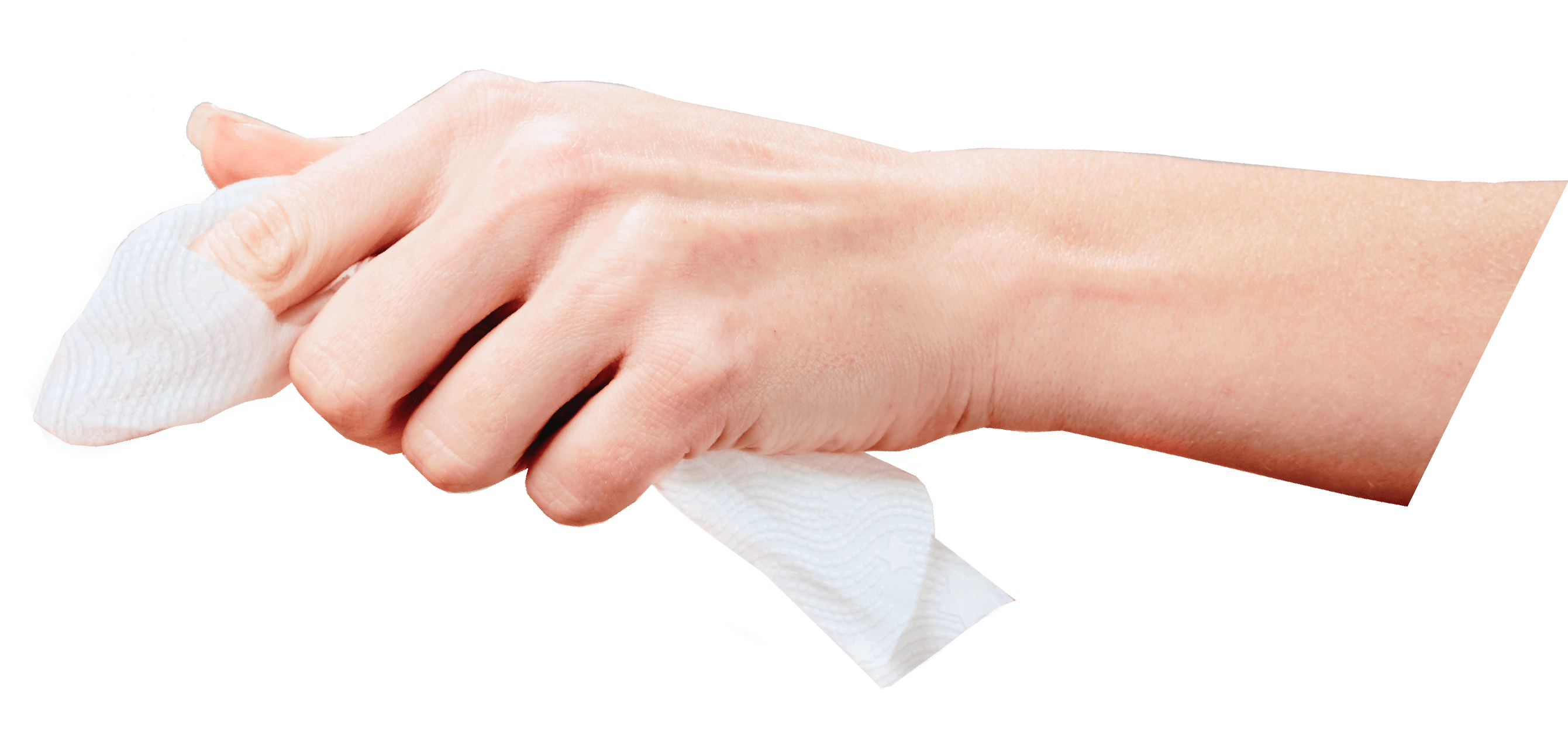 Toallitas Húmedas - PACIFICA